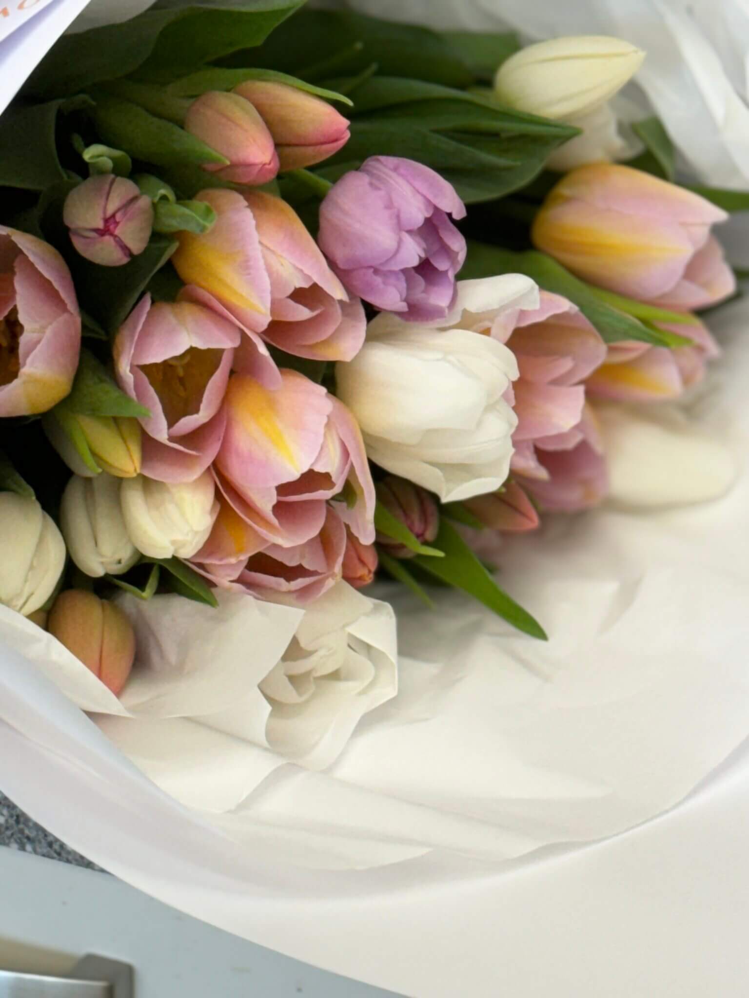 Florist Auckland | Flower Delivery, Takapuna & North Shore